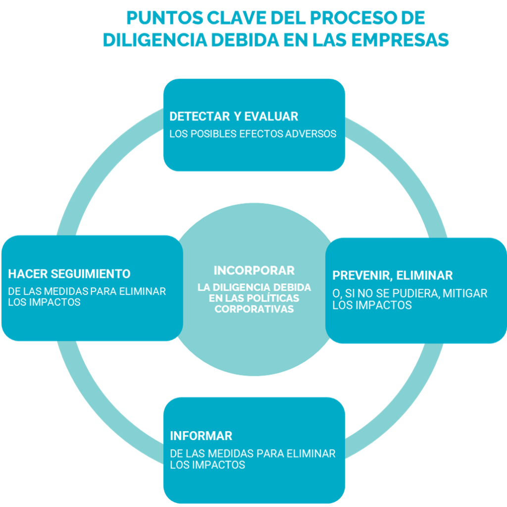 ¿Qué es y en qué punto está la Directiva de Diligencia Debida? RADAR ...
